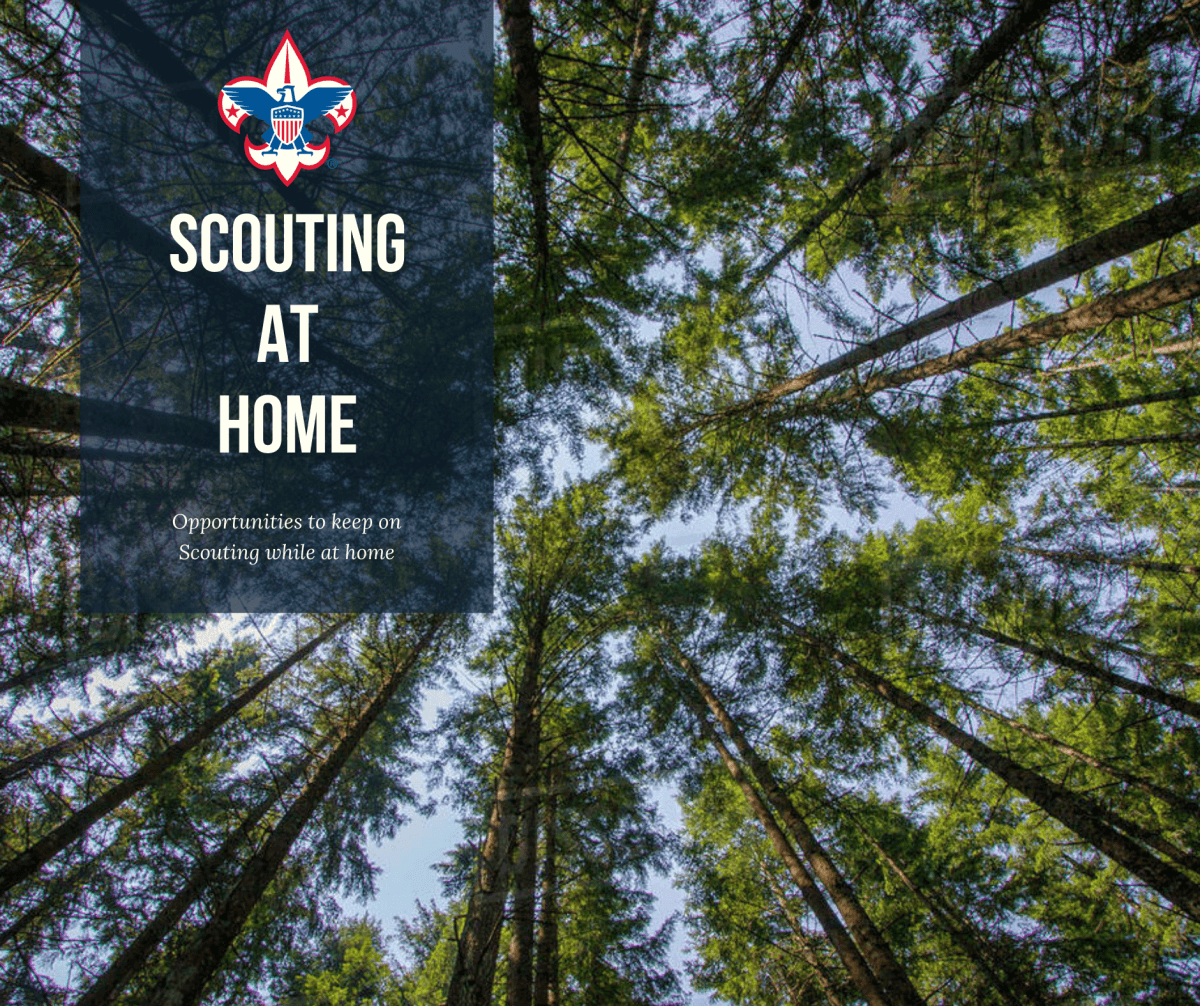Scouting At Home – Mayflower Council | BSA